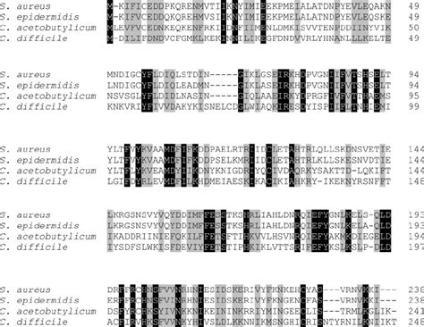 Alignment Of Cdtr Orthologs The Predicted Cdtr Protein From C