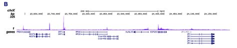 Pol Ii Antibody Chip Seq Grade C15200004 Diagenode