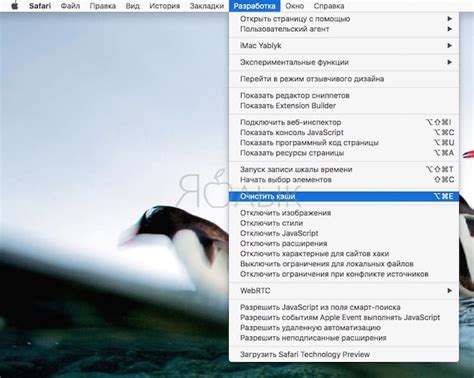 Как ускорить интернет на Mac Os