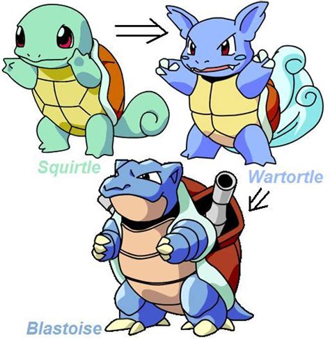 Pokémon Squirtle Evolution Animação Japonesa