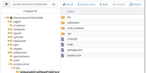 Vscode Ssh Lambat Dan Terus Minta Password Wget Dan Opening Remote Komputer Indonesia