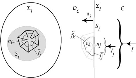 Left Cross Section Showing The Surface 6 Between D And C And Of Download Scientific Diagram
