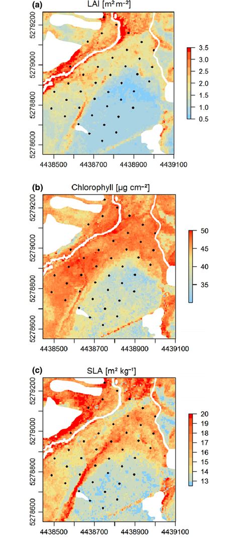 Maps Of Estimated Plant Traits Derived From The Inversion Of Prosail