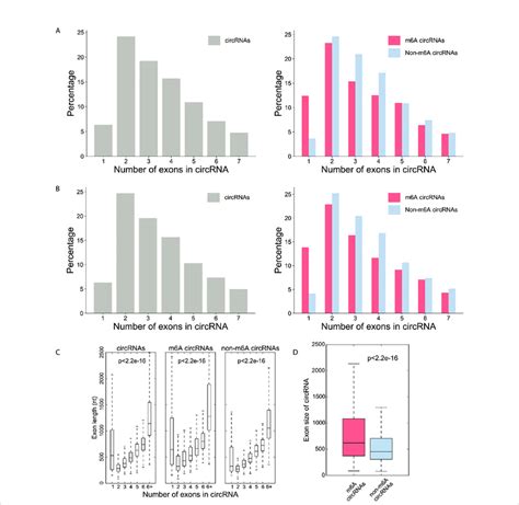 Distribution Patterns For The Exons In The Circrnas A Percentage Download Scientific Diagram