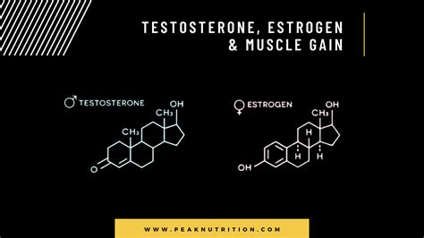 Testosterone Vs Estrogen Structure