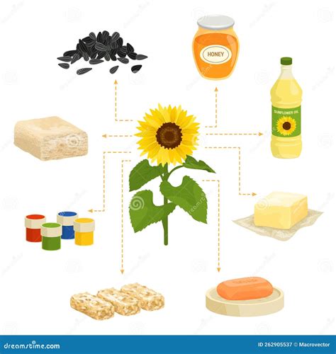 Technical Flowers Flowchart Composition Vector Illustration Cartoondealer Com