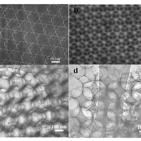 Scheme Showing Two Routes To The Formation Of Organized Macroporous