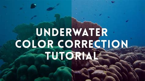 Underwater Video Color Correction At Imelda Metzger Blog