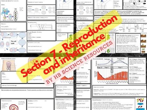 IGCSE Section Reproduction And Inheritance Revision Poster Biology Combined Teaching Resources