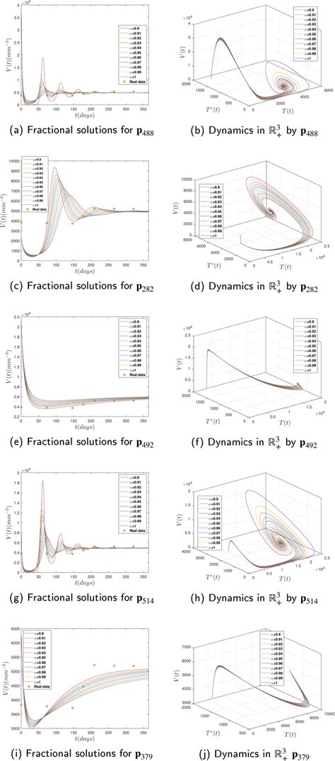Results Of Numerical Simulations Via Caputo Fractional Derivative In