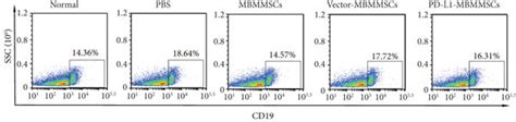 The Effect Of Pd L1 Mbmmscs On B Cells Macrophages And Dcs Facs Download Scientific Diagram
