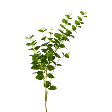 Myhouse Eucalyptus Leaf Stem 92cm Fine Furniture