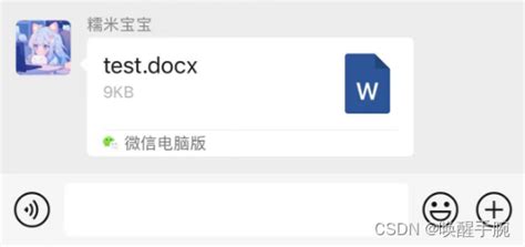 Python 使用 Wechatferry 搭建部署微信机器人详细教程（更新中） Csdn博客