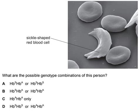 Igcse Biology 0610 174 Monohybrid Inheritance Igcse Style