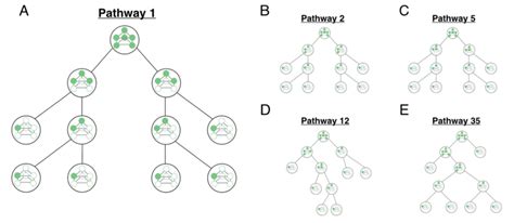 Example Assembly Pathways For A Stacked Trimer Each Panel Shows An Download Scientific Diagram