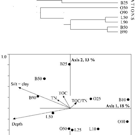 Faunal Classification Ntsys And Correspondence Analysis Ca Download Scientific Diagram