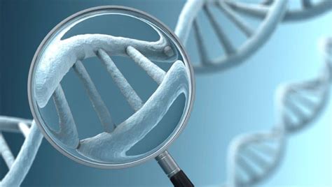 D ვიტამინი ის რაც უნდა ვიცოდეთ Synevo