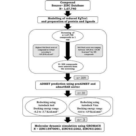 Sequential Representation Of The Complete Workflow Download