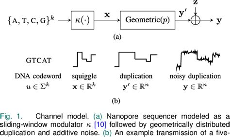 Figure 1 From Concatenated Nanopore Dna Codes Semantic Scholar