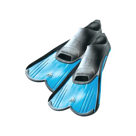Flippers Artofit