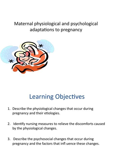 Maternal Physiological And Psychological Adaptations To Pregnancy Pdf Endocrine System
