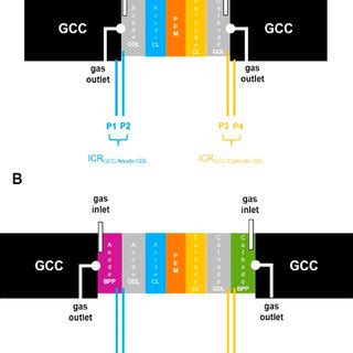 E Experimental Configurations Of The Single Cell Setup A Download Scientific Diagram