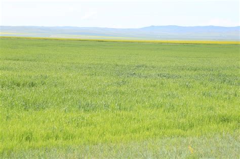 ӨВ АГРО КОМПАНИ АЙМГИЙНХАА ӨВС ТЭЖЭЭЛИЙН АЮУЛГҮЙН НӨӨЦИЙГ БҮРЭН ХАНГАЖЭЭ