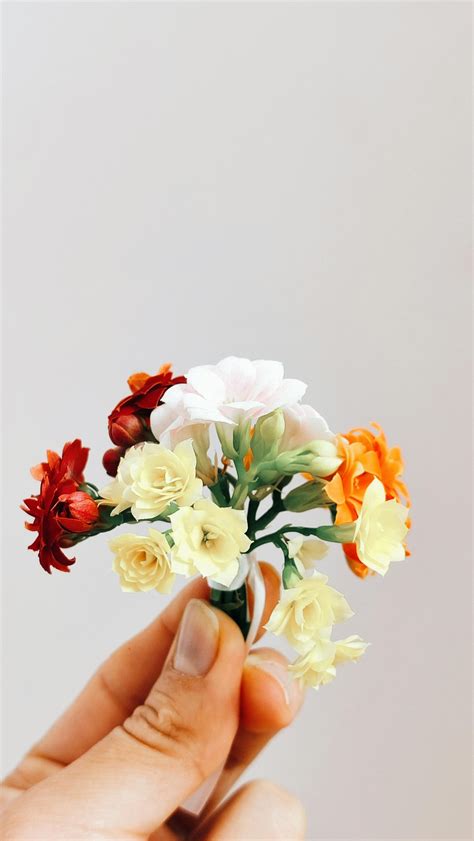 90960 Fotos Y Imágenes De Flores De Limpiapipas Gratis · Banco De