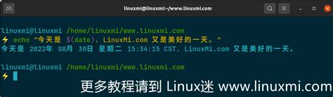 Bash 中的 和 有什么区别 良许linux教程网 Bash 中的 和 有什么区别 良许linux教程网