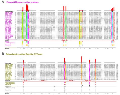 Contrast Alignments Showing The Most Distinctive Sequence Features Of Download Scientific