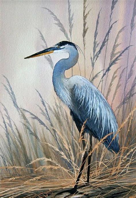 Safora Saffari Posted On Linkedin