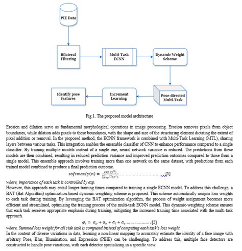 Incremental Learning Enhanced Ensemble Convolutional Neural Network For