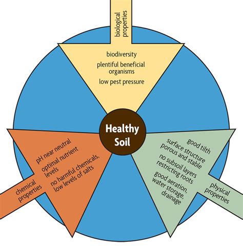 Ch Soil Health Plant Health And Pests SARE