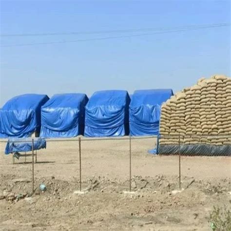 Plain Ldpe Fumigation Sheets For Industrial Size 20m At Rs 75kg In