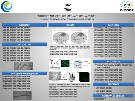 9 2 Poster Template Rna Seq Minicure