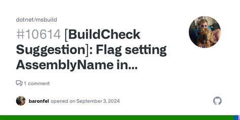 Buildcheck Suggestion Flag Setting Assemblyname In Directorybuild