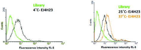 Aptamer Binding At Physiological Conditions Flow Cytometry Assay For