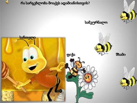 ჭიანჭველა და ფუტკარი