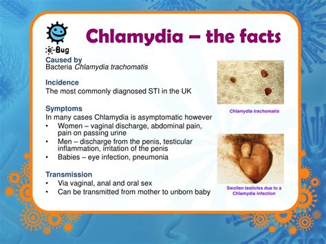 Ppt Transfer Of Infection Powerpoint Presentation Free Download Id