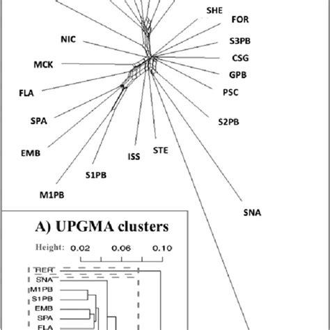 A Phenogram Of Populations Built Using Upgma Algorithm From Neis Download Scientific Diagram
