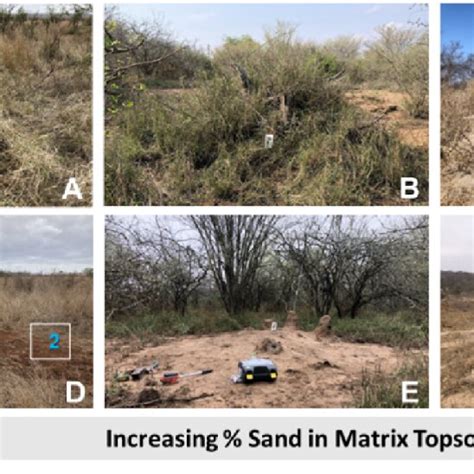 Photographs Of Termite Mounds In The Three Sample Landscapes Of