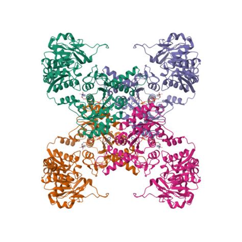 Rcsb Pdb 7dpw Structural Basis For Ligand Binding Modes Of Ctp Synthase