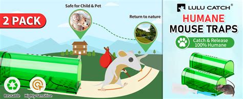 Lulucatch Humane Mouse Traps 2 Pack Live Mouse Traps