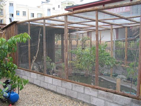 Outdoor Bird Aviary Ideas At Erin Ayers Blog
