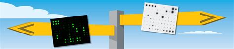 Multiplex Protein Detection With Antibody Arrays Raybiotech Raybiotech