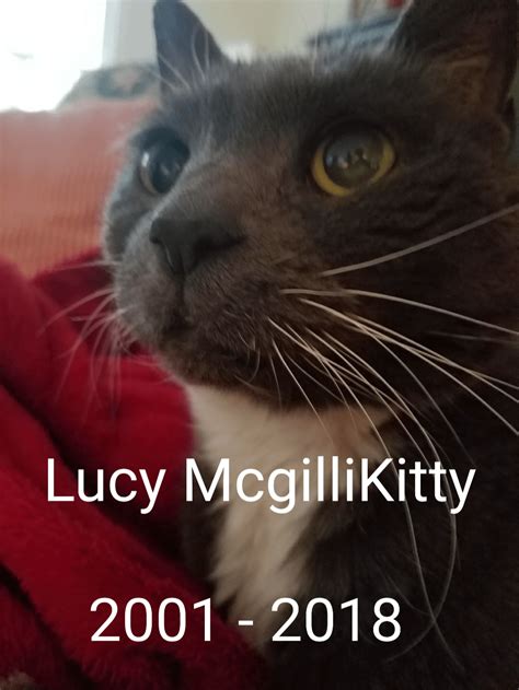 The Best Episode Have You Seen This Snail And Why Itll Always Have A Place In My Heart R