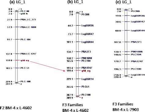 Genetic Linkage Map Of F2 A And F3 B C Population Using Ssr