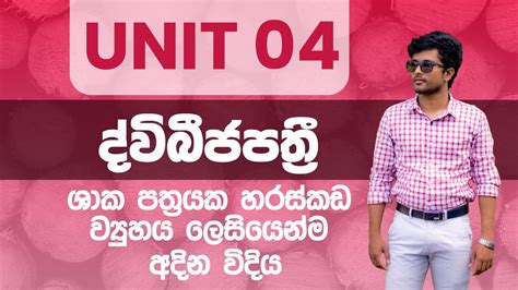 ද්වීබීජපත්‍රී ශාක පත්‍රයක හරස්කඩ ව්‍යුහය Cross Sectional Structure Of A Dicot Leaf Unit 04