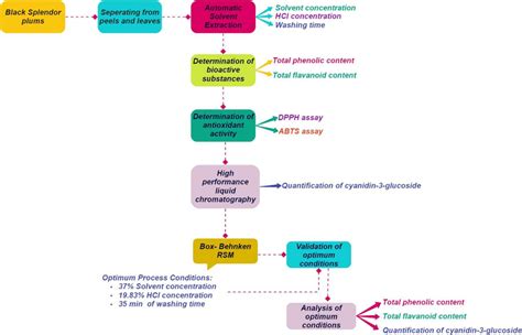 Manufacturing Process Of The Formulation Download Scientific Diagram