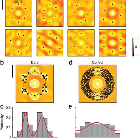 Pdf Retinal Origin Of Orientation Maps In Visual Cortex